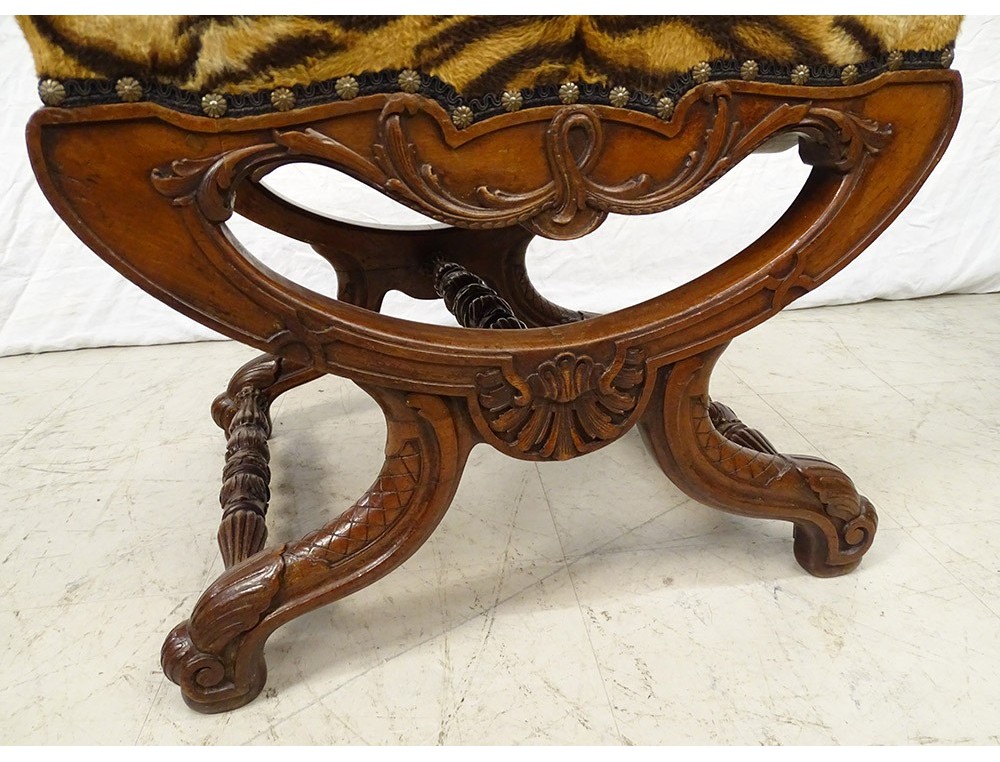 Curule stool carved walnut shell foliage nineteenth century