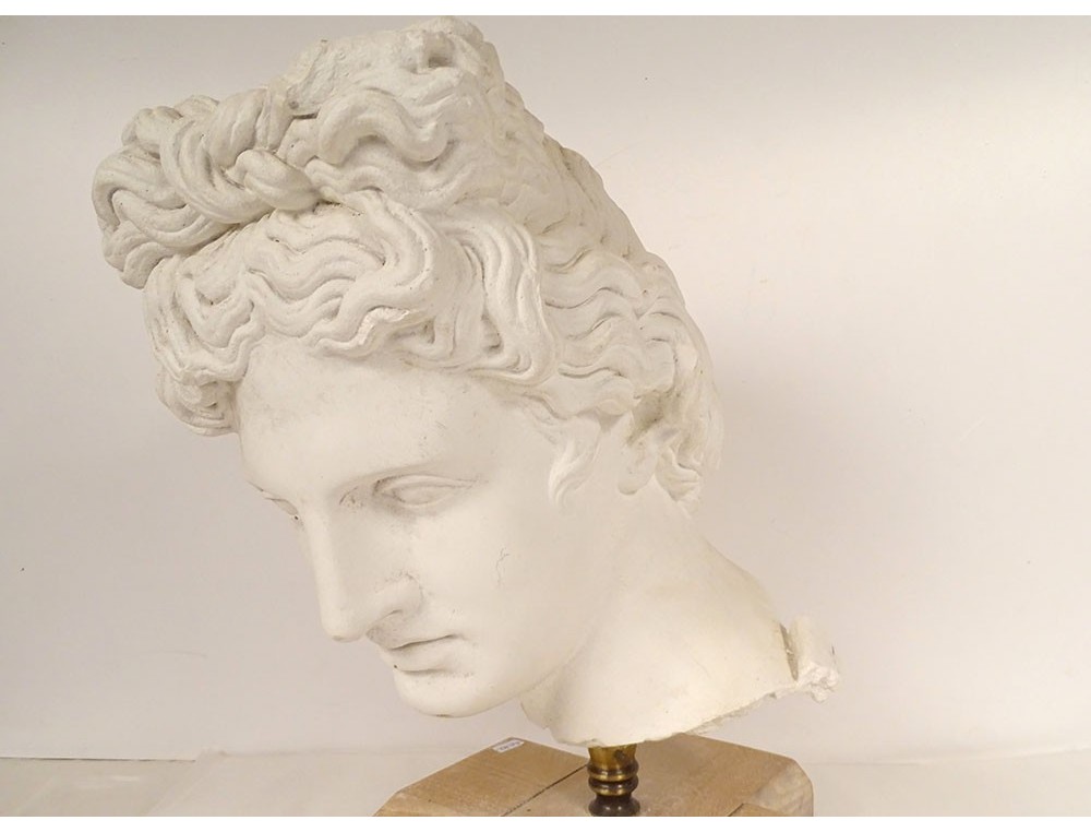 Plaster sculpture head god statue Apollo Belvedere Rome Italy 19th century
