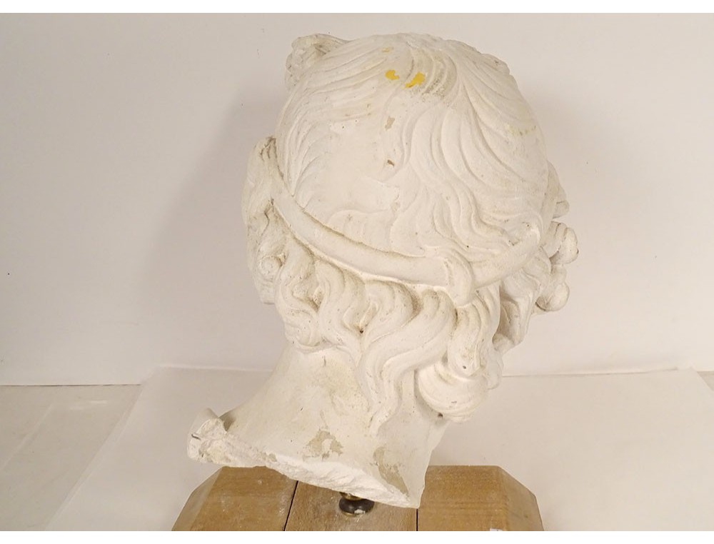 Plaster sculpture head god statue Apollo Belvedere Rome Italy 19th century