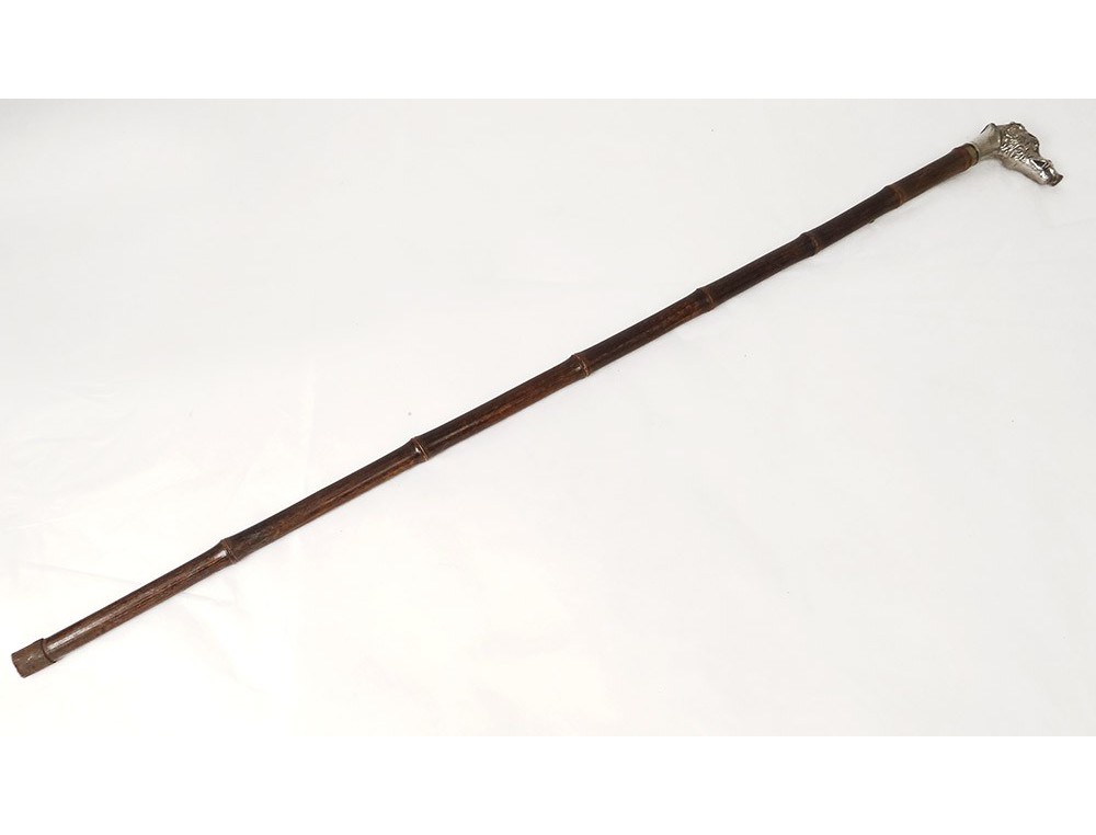 Canne à système lance-eau bois bambou tête sanglier métal argenté cane XIXè