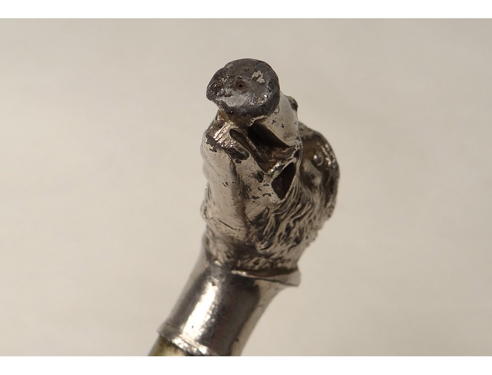 Canne à système lance-eau bois bambou tête sanglier métal argenté cane XIXè