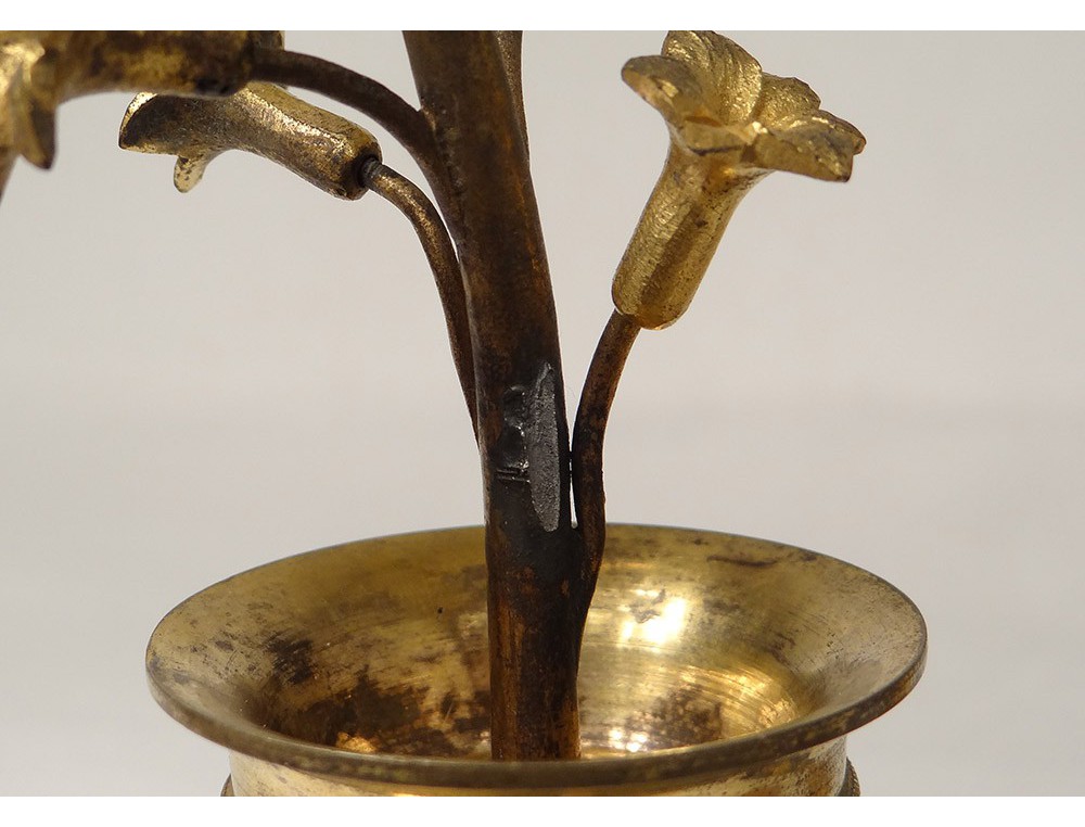 Cassolettes pair gilded bronze antique vases Medici flowers nineteenth ...